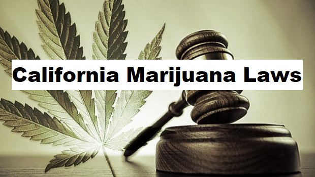 California Marijuana Laws - green tripz